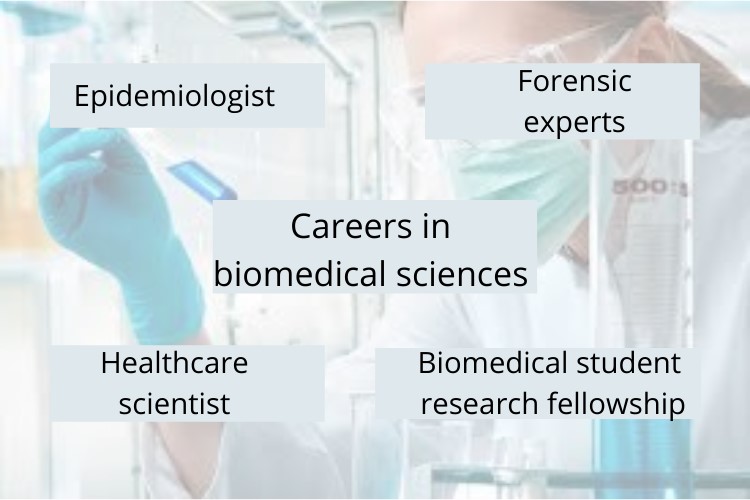 Biomedical Science Assignment Help Online with upto 50% OFF Biomedical Science Assignment Help Online with upto 50% OFF